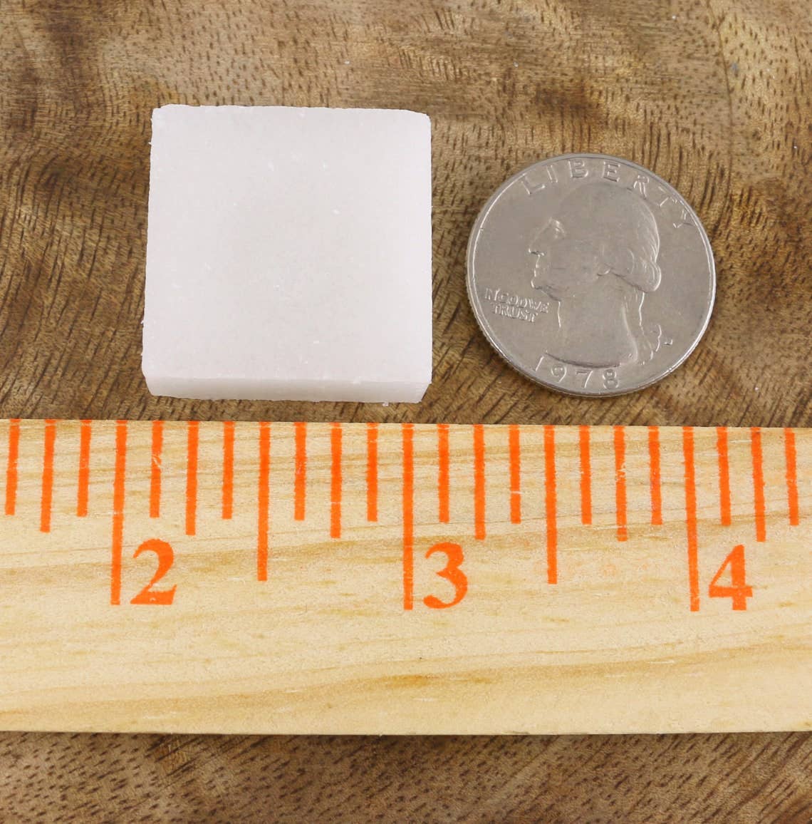 Camphor Blocks - 4 Tabs per Block – Earth Fairy Holistics
