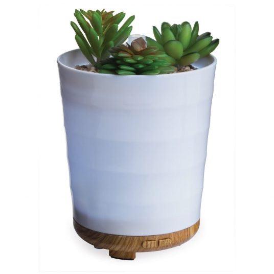 Potted Succulent Ultra Sonic Essential Oil Diffuser – Earth Fairy Holistics