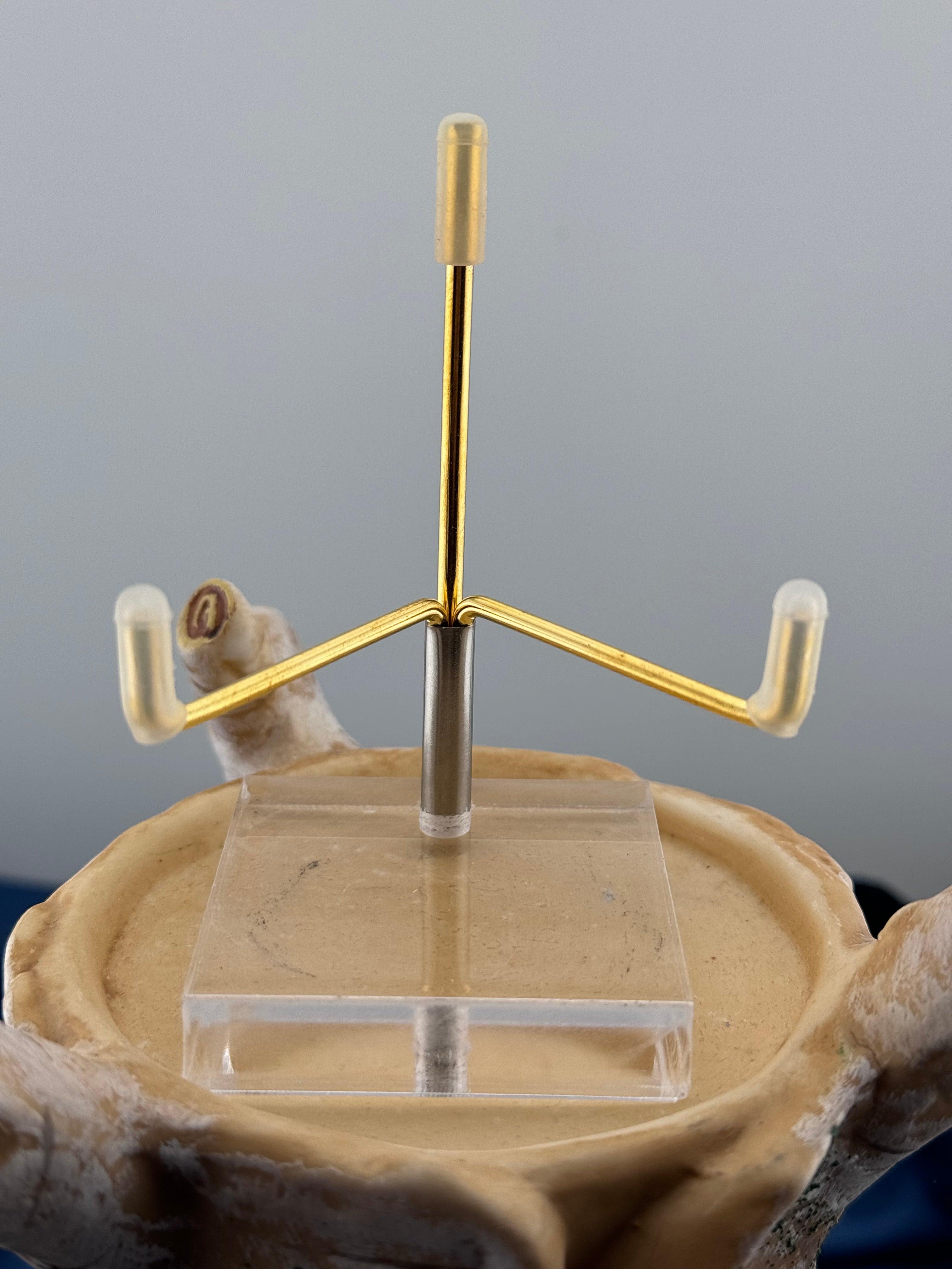 Slab/Specimen Holders – Earth Fairy Holistics