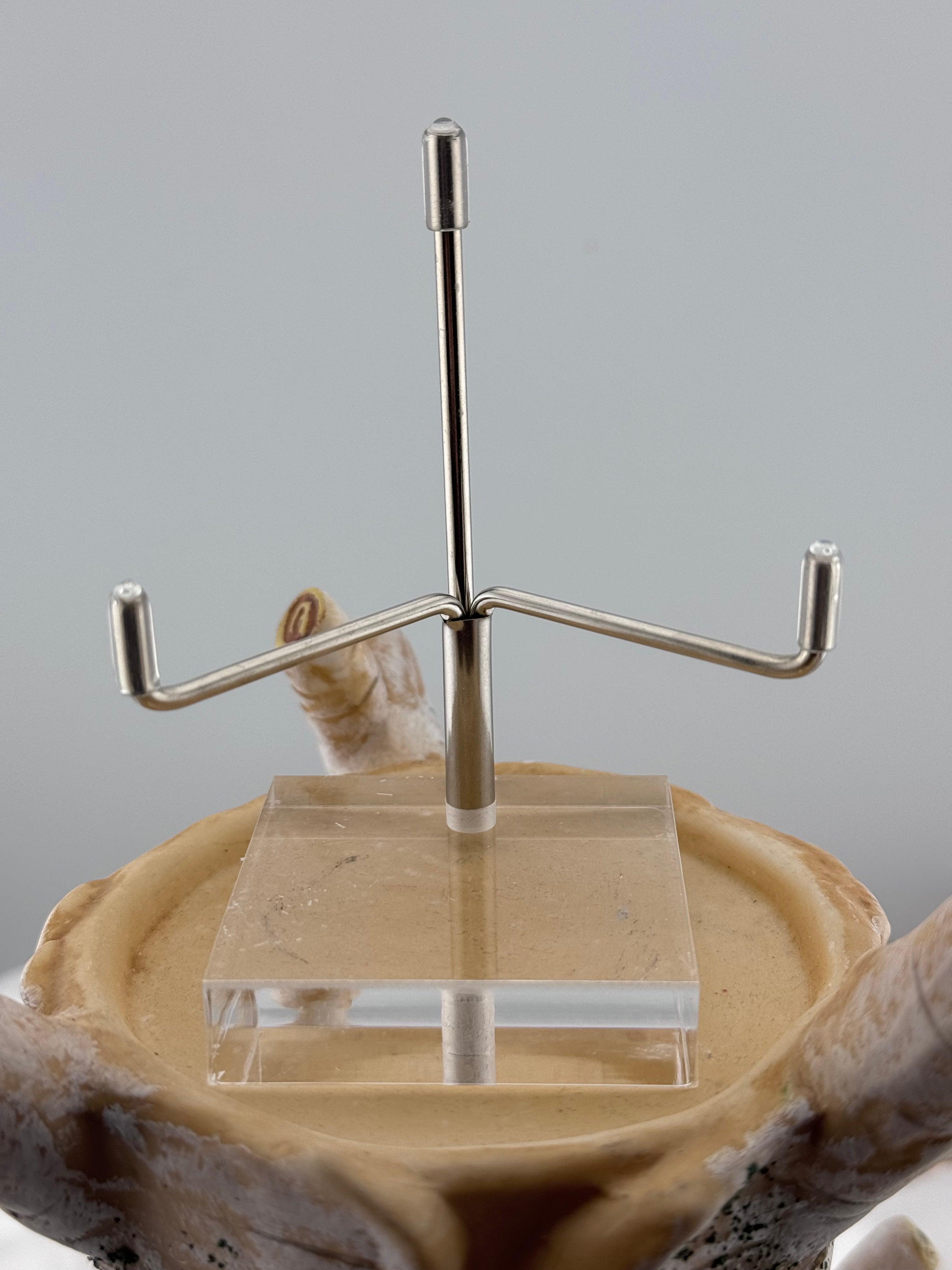 Slab/Specimen Holders – Earth Fairy Holistics